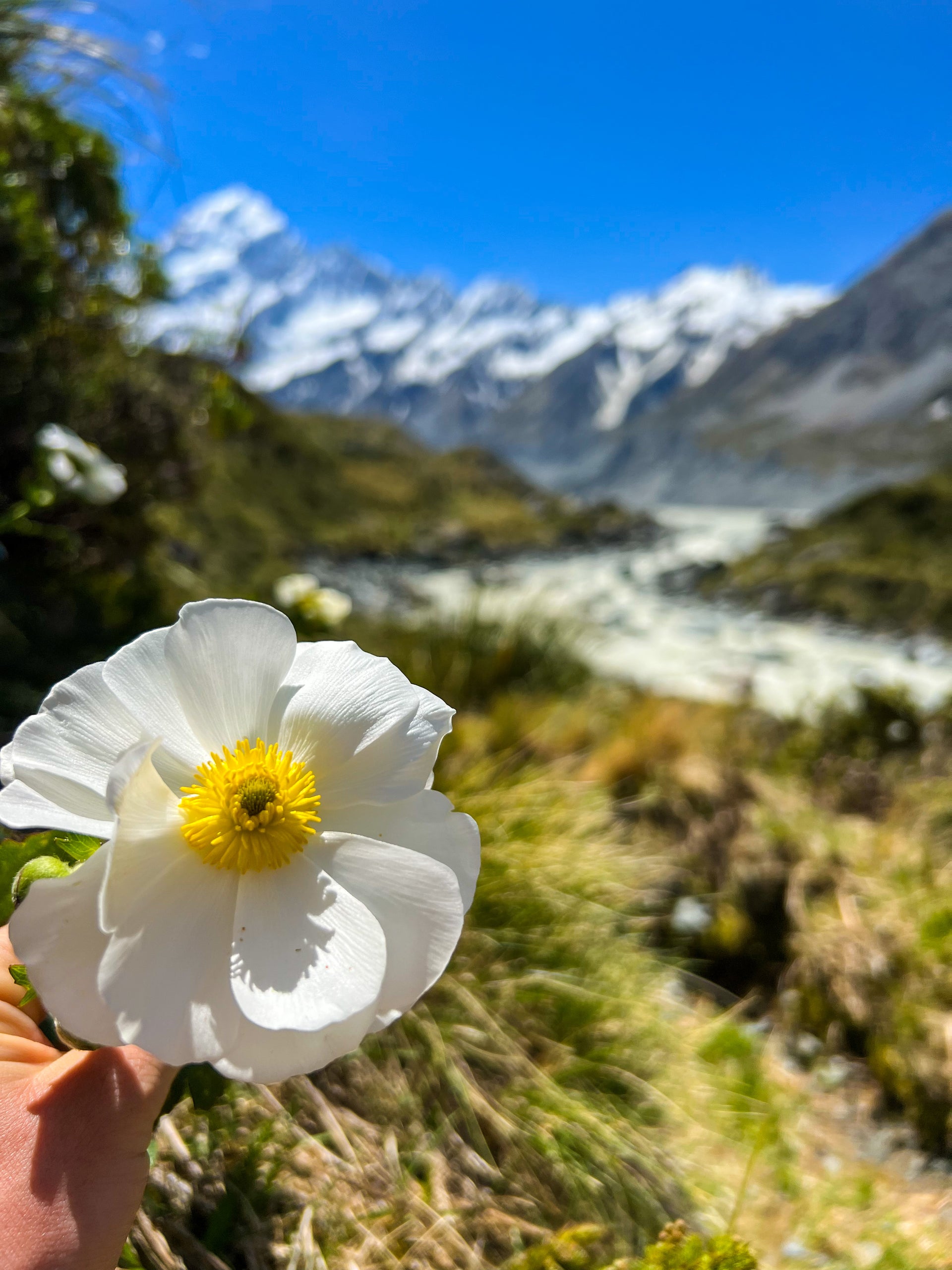 New Zealand Adventure Guide Program Gap Year Abroad – Pure Exploration